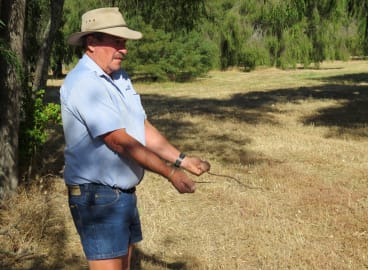 Water diviners, dowsers, may have special sensitivity to electromagnetism