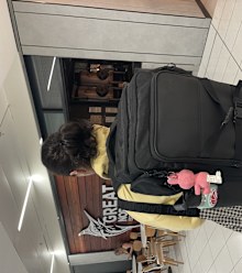 Best carry-on bag, LSKD Functional Training Backpack review: I've found ...