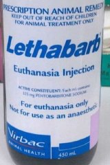 Euthanasia drug 'Lethabarb' stolen from Melbourne vet clinic