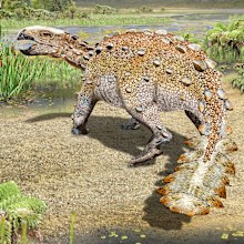 Dinosaur news: New armoured species found in Chile had bizarre ...