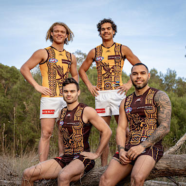 AFL Sir Doug Nicholls Round 2025: Every club's Indigenous guernsey | In ...
