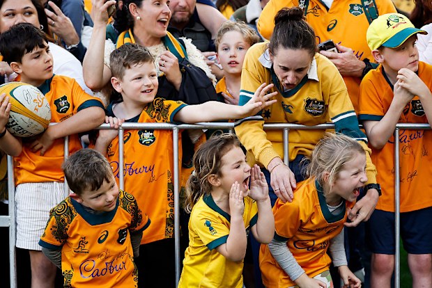 Rugby news 2025: R360, Wallabies coach Joe Schmidt, rebel competition ...