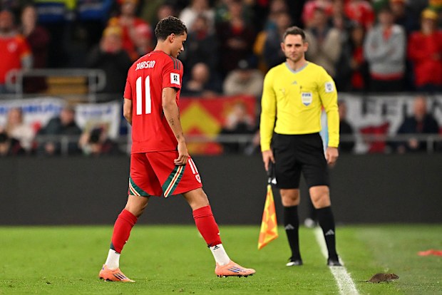 Football news 2025: Wales vs Belgium, rat pitch invader video, World ...