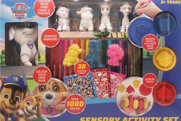 Product recall: Bluey, Paw Patrol and Frozen 2-themed toy sets set sold ...