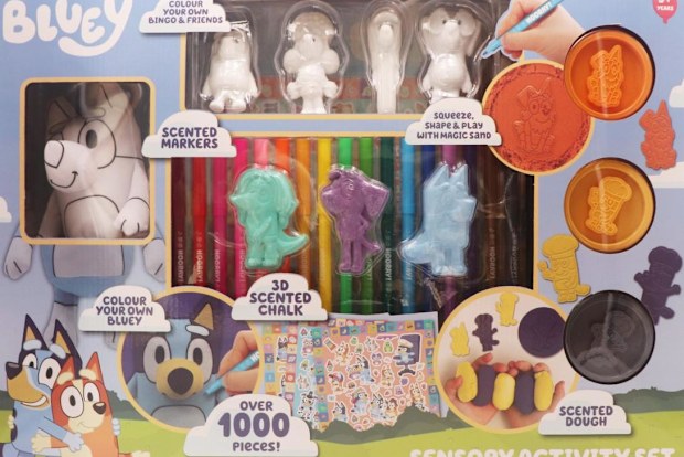 Product recall: Bluey, Paw Patrol and Frozen 2-themed toy sets set sold ...