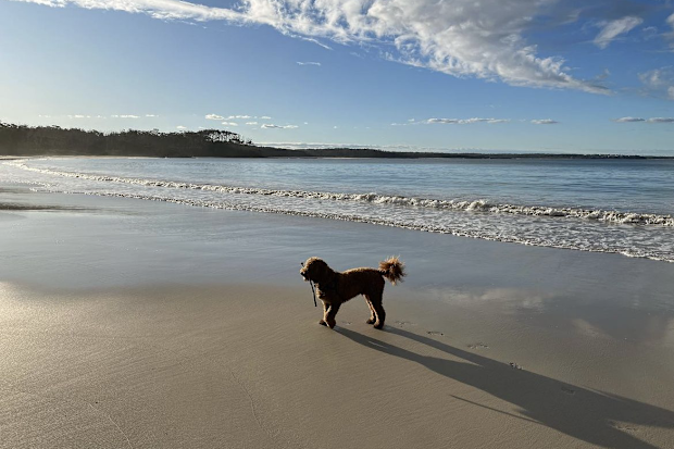 NSW South Coast travel: Deb Knight shares her beloved family beach ...