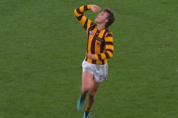 AFL Finals Week 1 2024 LIVE scores: Western Bulldogs vs Hawthorn ...