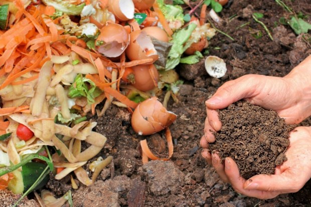 NSW residents to receive green bins for food waste | Nine.com.au