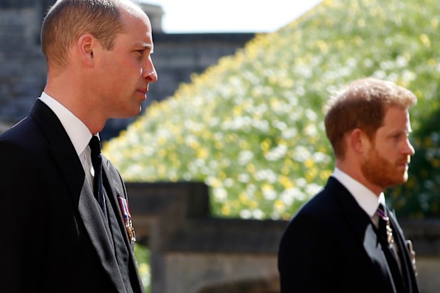 Prince William and Prince Harry to meet in private after statue of ...