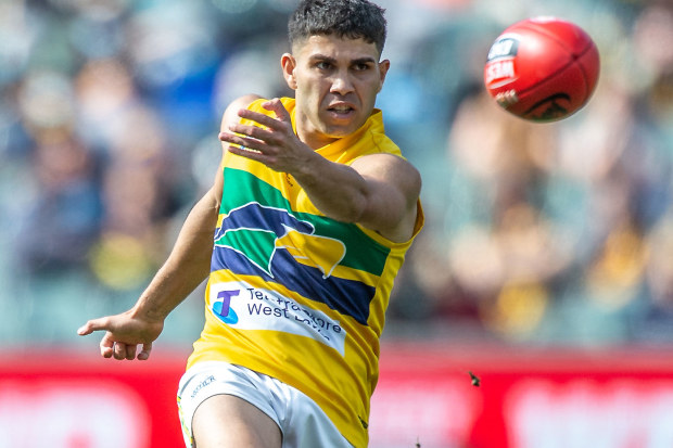 AFL news 2022: Geelong star Tyson Stengle's incredible path from AFL ...