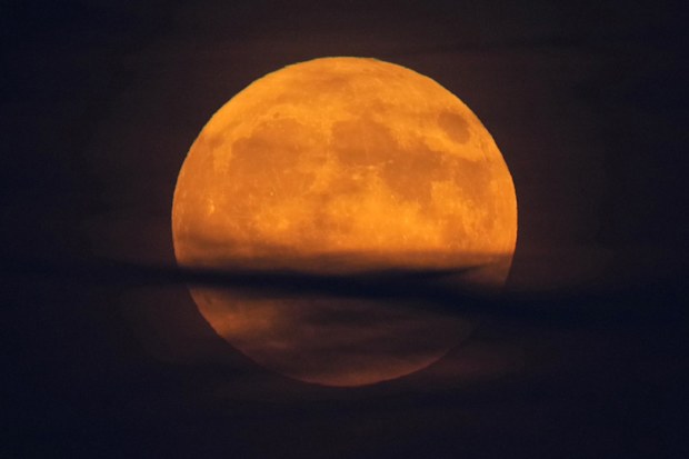 October Harvest Moon, First Supermoon of 2025: What is the October ...