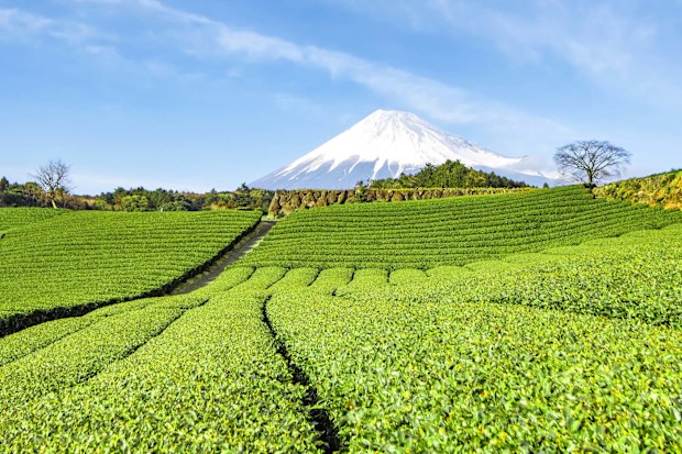 Most popular Japan destination for Aussies beyond the Golden Route ...