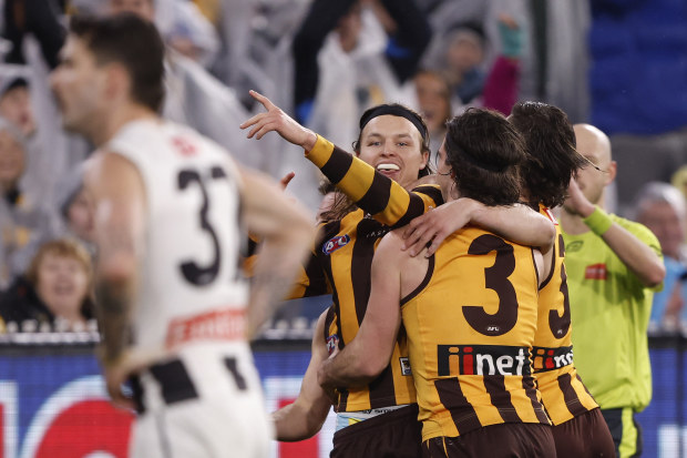 AFL News 2024: Hawthorn vs Collingwood, Brayden Maynard strike on Jack Ginnivan, MRO, fine ...