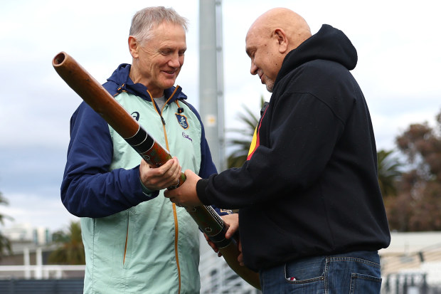 Rugby Australia news 2024: Indigenous Wallabies, Dylan Pietsch embraces ...