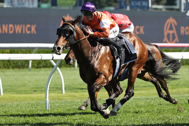 how to draw a horse and jockey