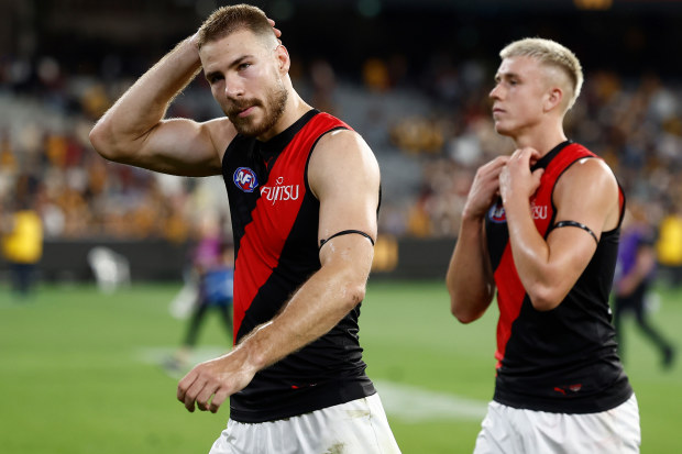 AFL news 2025: Essendon legend Matthew Lloyd casts spotlight over Ben ...