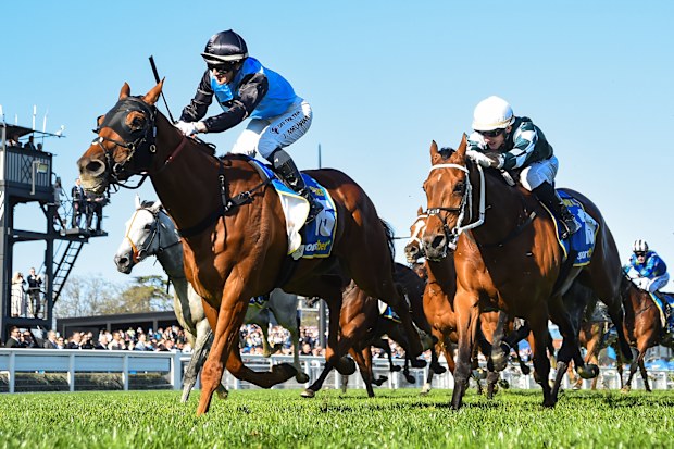 Melbourne Cup 2025: Race times, horses list, tips, field, odds, date ...