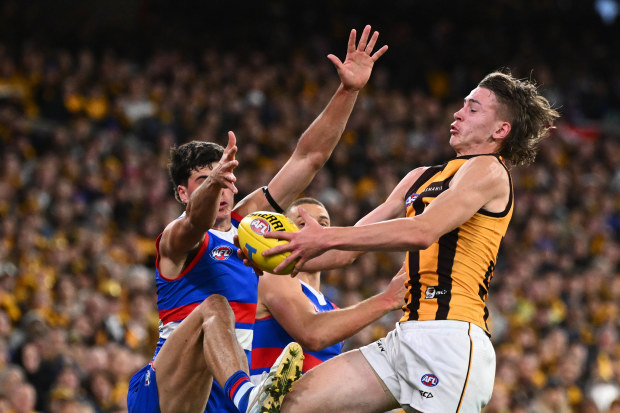 AFL News 2024: Hawthorn defeat Western Bulldogs elimination final, Sam ...