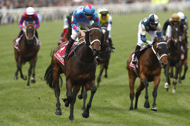 Derby Day 2024 horses: Form guide, tips, odds and everything you need ...