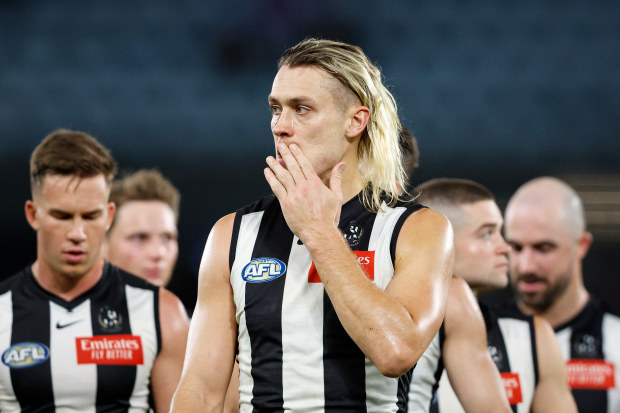 AFL News 2024: Darcy Moore knee in back, Christian Petracca injury ...