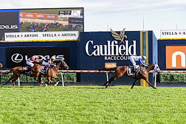 Jamie Melham career highs and lows in pictures: Melbourne Cup winner's ...