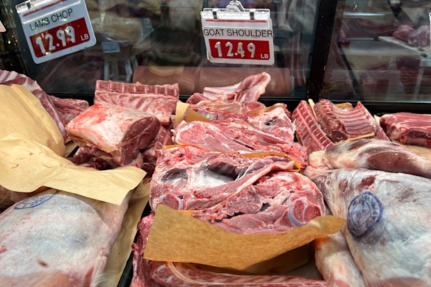 Australia's goat meat exports hit record highs as global demand surges ...