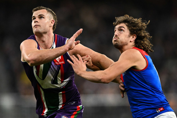 AFL News 2025: Fremantle ruckman Sean Darcy to undergo ankle surgery ...