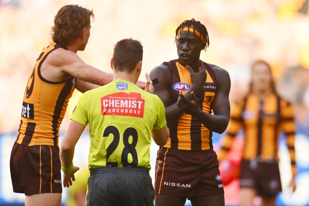 AFL news 2024: Hawthorn defeats Adelaide, MCG winless streak ...