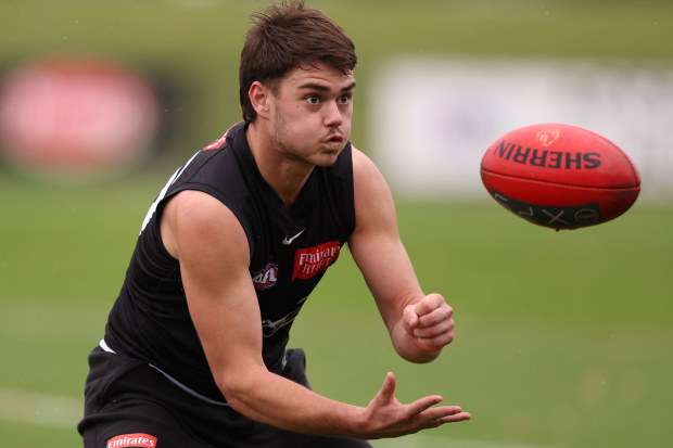 AFL News 2024: Collingwood, Josh Carmichael, concussion, medical ...