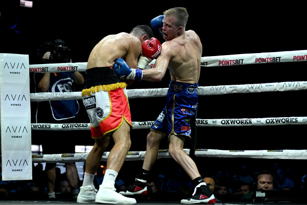 Boxing news 2025: Liam Wilson defeats Youssef Dib in Brisbane; Low blow ...