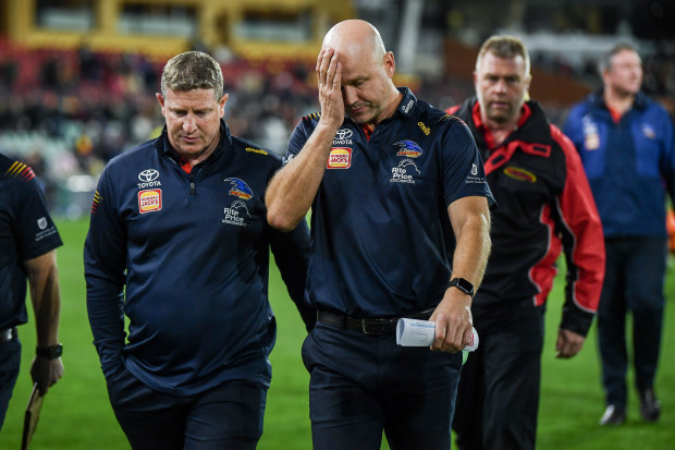 AFL News 2024: Adelaide Crows, mid season review, Matthew Nicks ...