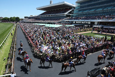 Melbourne Cup 2024 in pictures: Pop star Ronan Keating hugs Irish ...