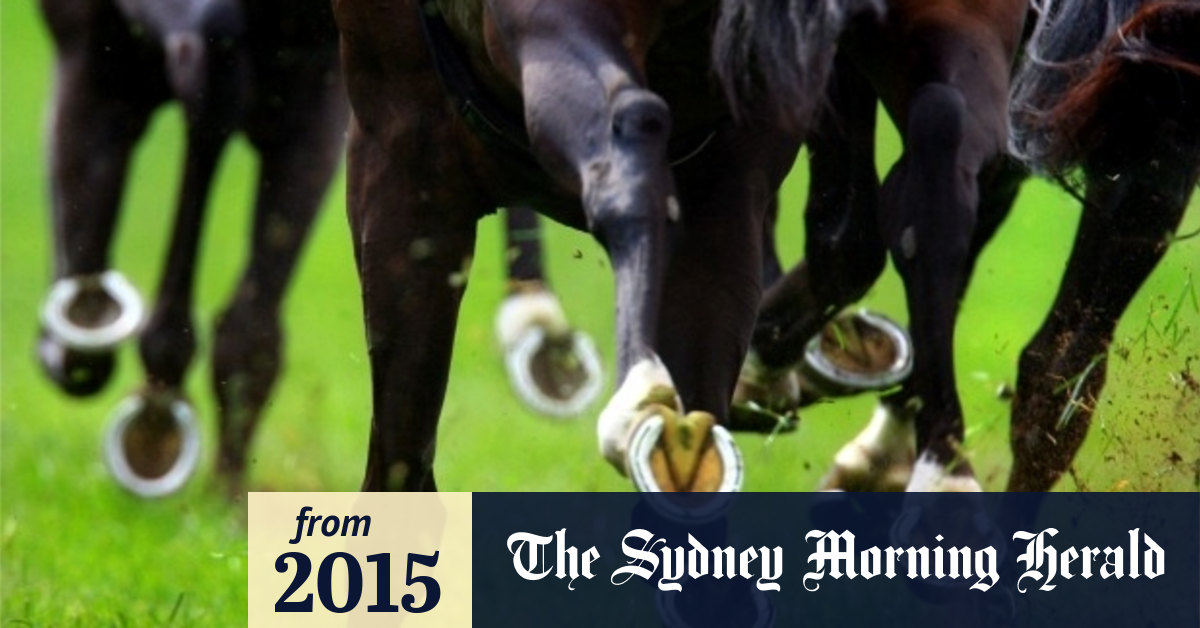 Peter Maher in talks over role on new racing channel