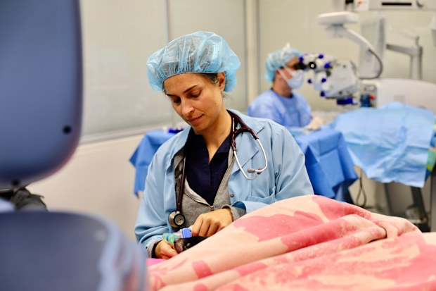 Tasmanian devil has world-first cataract surgery to restore sight ...