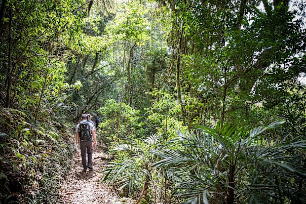 Best new hikes in Australia: New walking trail offers a completely ...