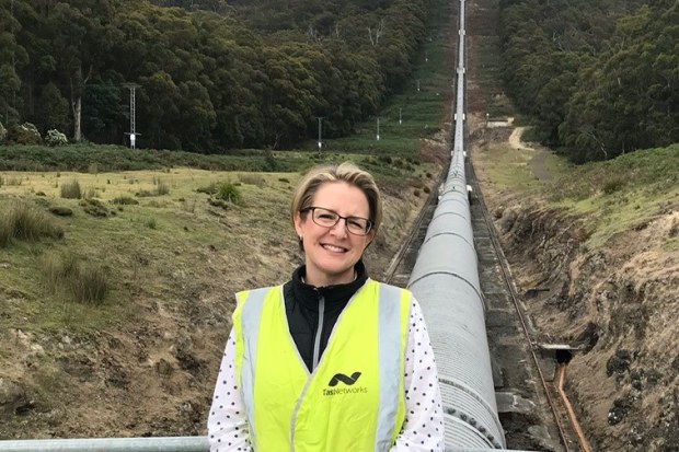 Fast-tracked reforms to share costs of Marinus Link