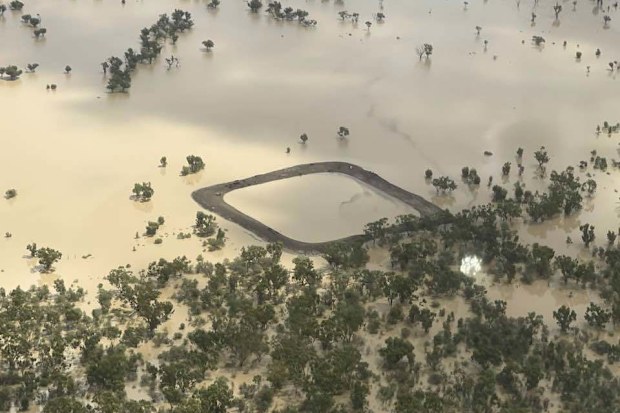 Devastating toll on outback Queensland as region is smashed by record ...