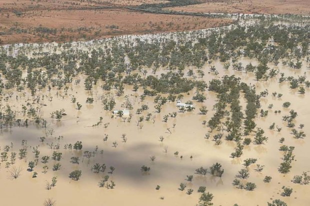 Devastating toll on outback Queensland as region is smashed by record ...