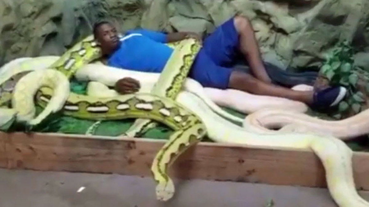 NBA: Pacers star lounges with giant snakes