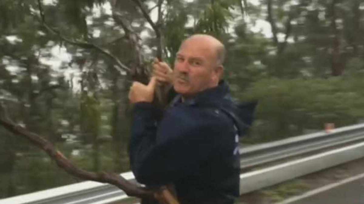 Channel Nine's Wally Lewis helps clean up after wild storms lash Brisbane
