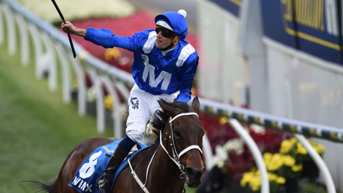 Winx leads one-horse race with punters