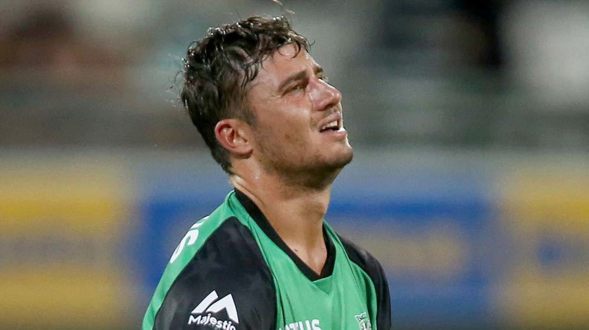 Cricket News 2024: Melbourne Stars new BBL captain, Marcus Stoinis ...