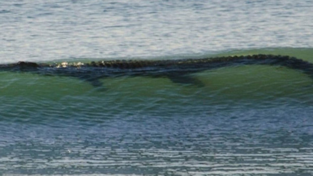 Croc sighting brings halt to surfing event