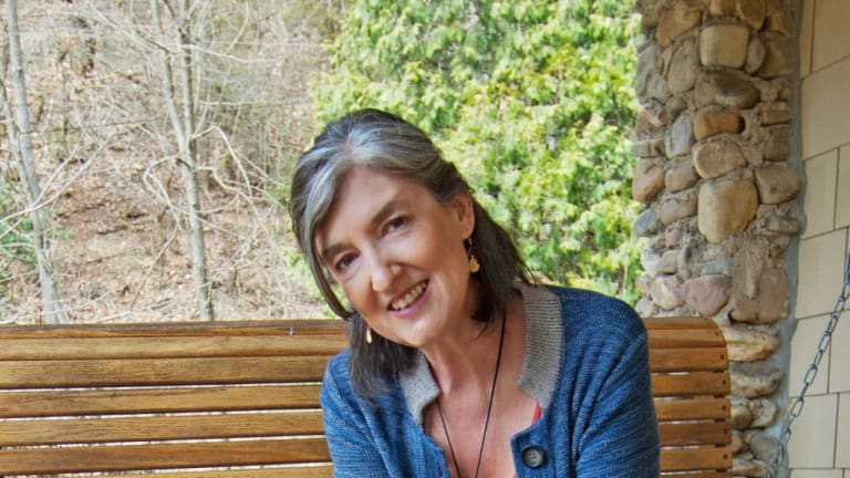 Unsheltered review: Barbara Kingsolver and the problem of Donald Trump
