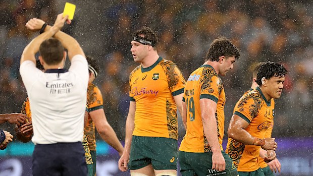 Bledisloe Cup 2025 LIVE scores: Wallabies vs All Blacks second Test ...