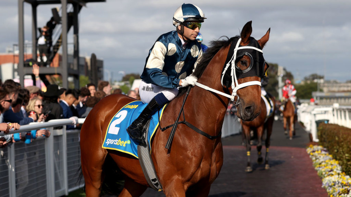 Melbourne Cup 2024 barrier draw RECAP: Results, full field; 24 horses ...