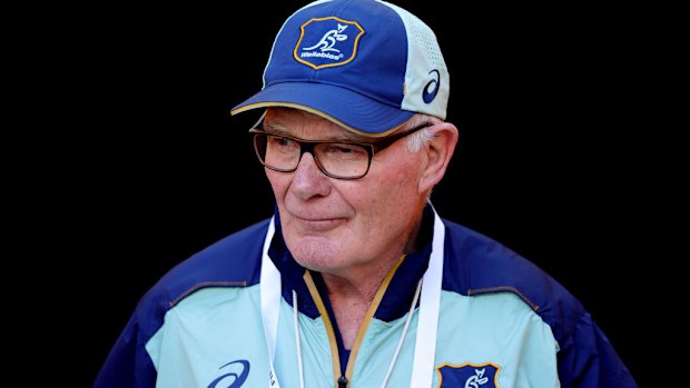 Bledisloe Cup 2025 news: All Blacks vs Wallabies, Eden Park history ...