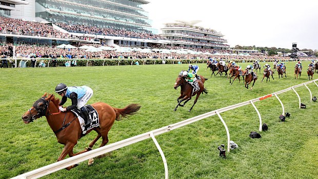 Melbourne Cup results, full finishing order 2025: Field placings ...