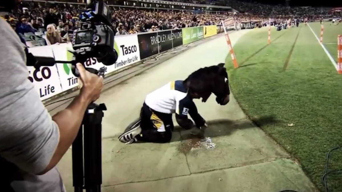 Super Rugby 2025 | Sean Maloney column, Brumby Jack incident, round ...