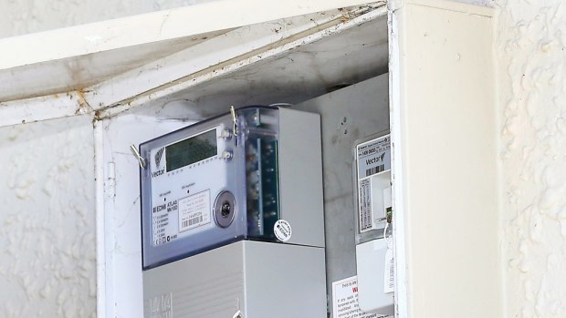 AGL Energy's smart meter auction attracts bigwigs